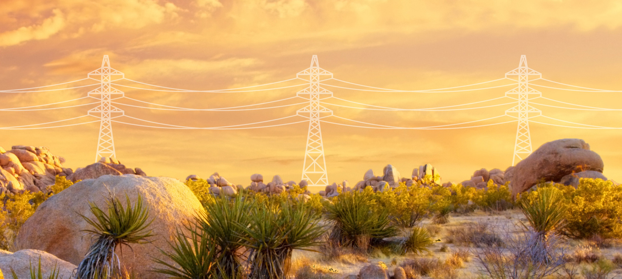 About The Study - CONNECTED WEST